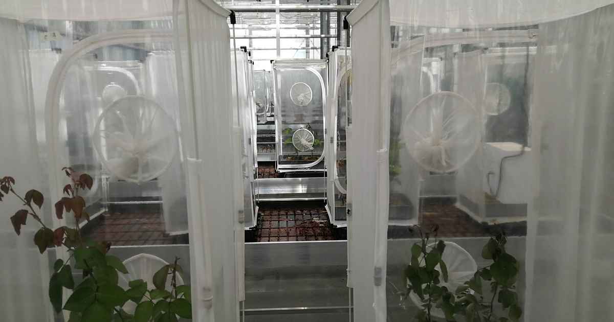 Facilities - Evolutionary & Population Biology (IBED-EPB) - Institute ...