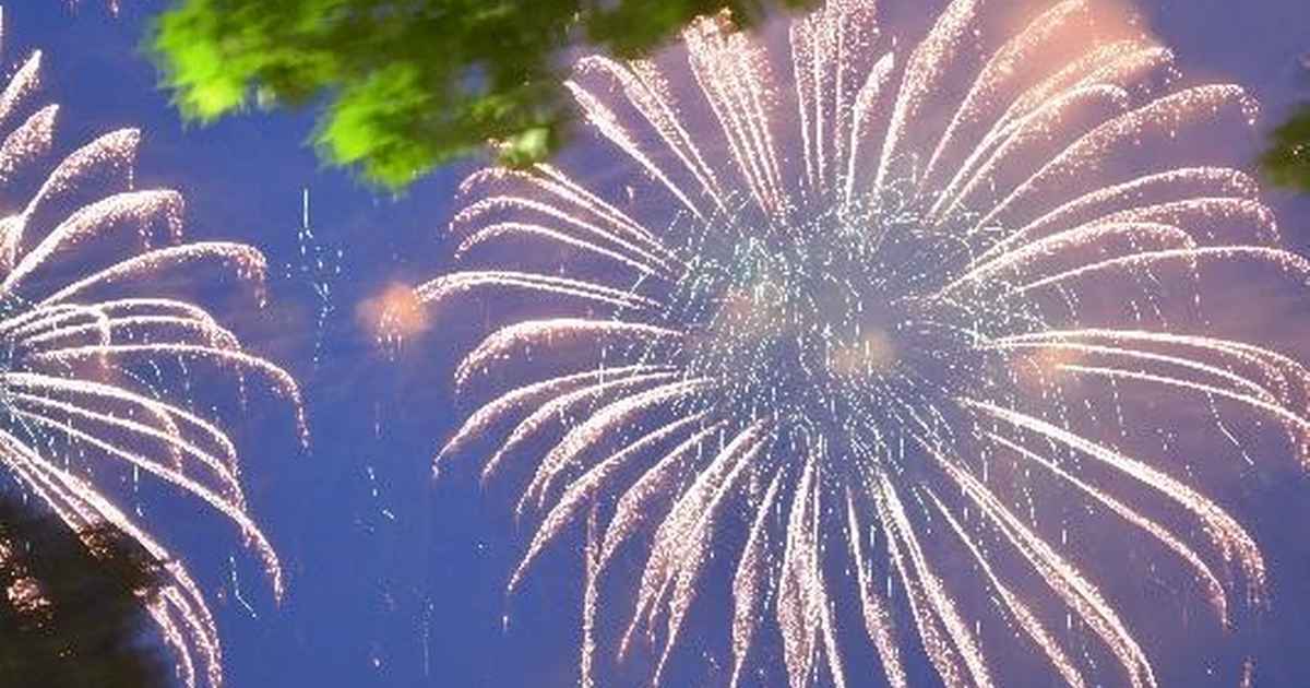Fireworks have long-lasting effects on wild birds - Institute for ...