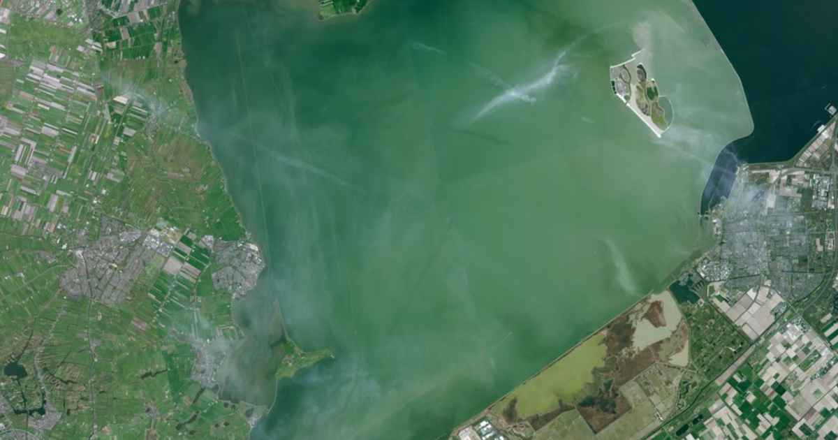 ‘Dead turbid water’ Lake Markermeer full of life - Institute for ...