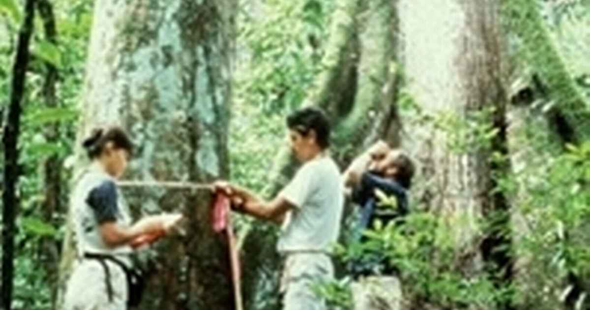 Biodiversity and geodiversity in the tropics - Ecosystem & Landscape ...