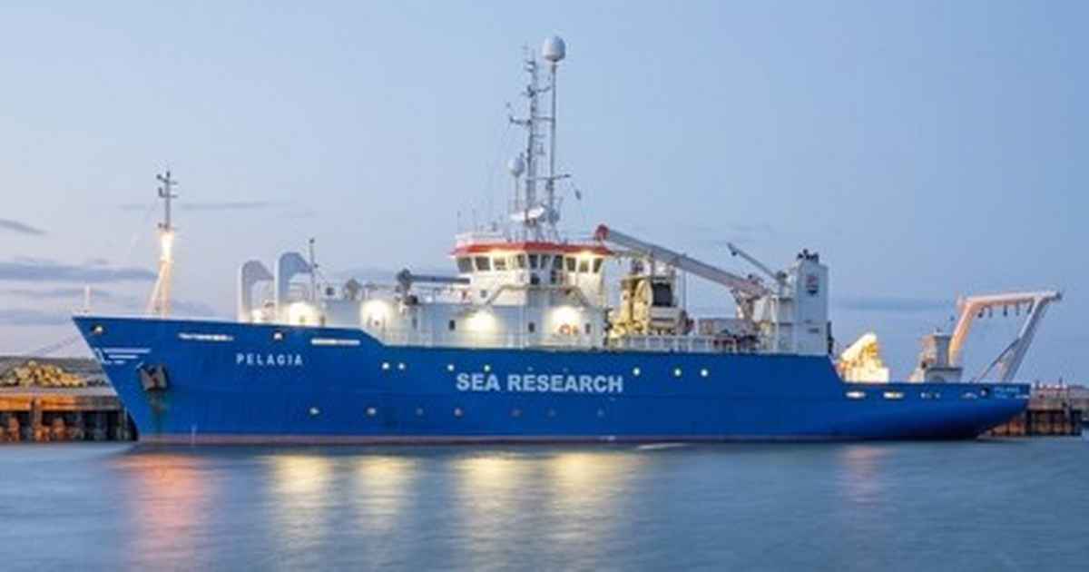 Animal Movement Ecology - Theoretical and Computational Ecology (IBED ...