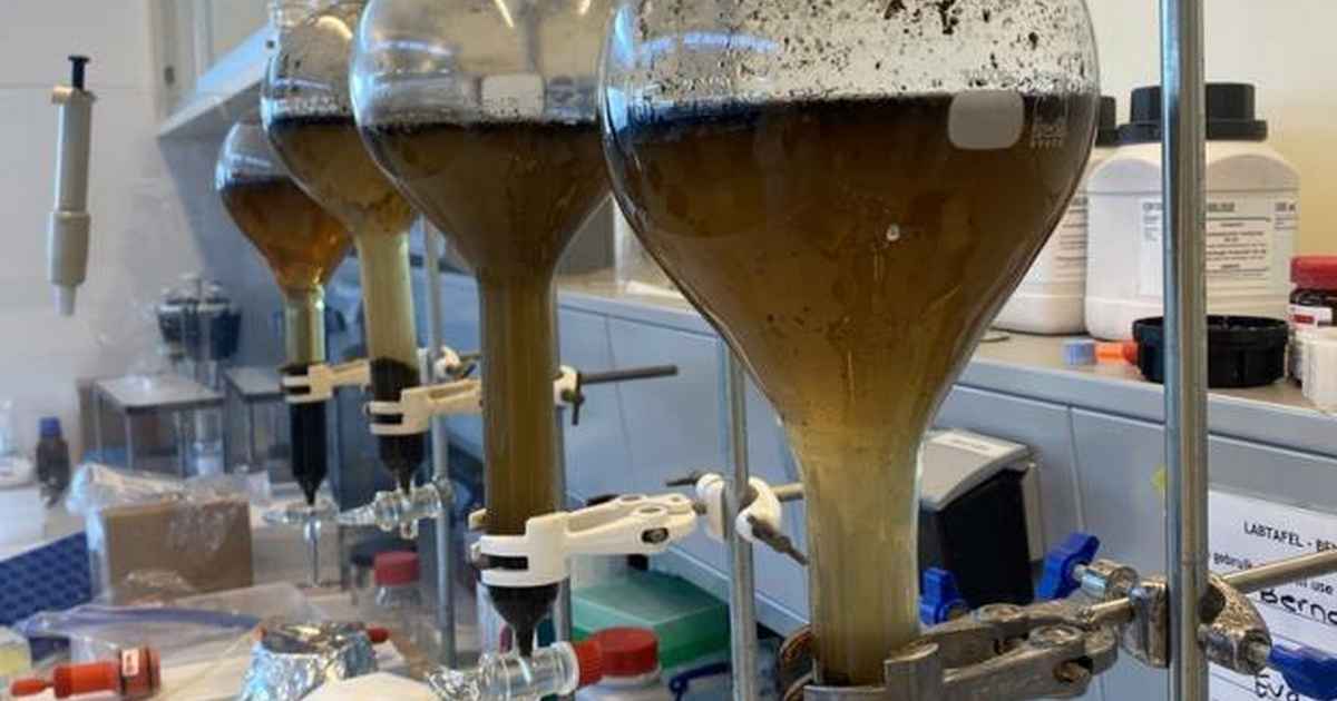 Environmental Chemistry - Ecosystem & Landscape Dynamics (IBED-ELD ...