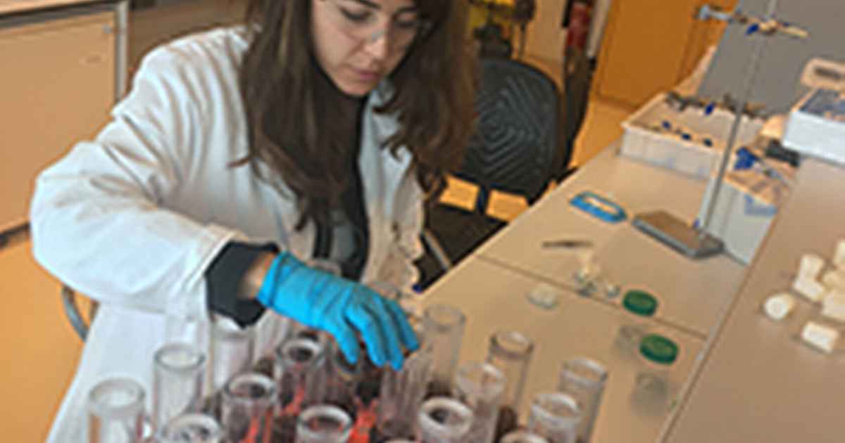 Biogeochemistry - Ecosystem & Landscape Dynamics (IBED-ELD) - Institute ...