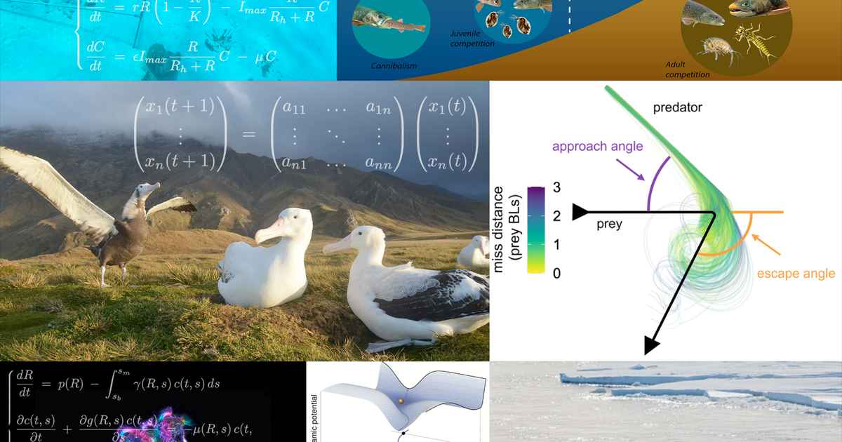 Theoretical Ecology and Evolution - Theoretical and Computational Ecology (IBED-TCE) - Institute ...