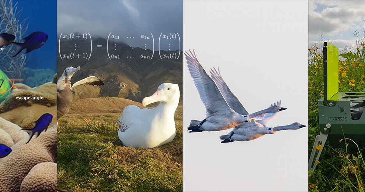 Research - Theoretical and Computational Ecology (IBED-TCE) - Institute for Biodiversity and ...