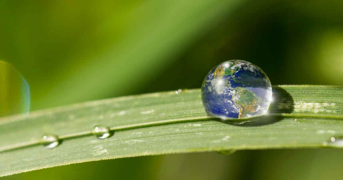 About IBED - Institute for Biodiversity and Ecosystem Dynamics ...