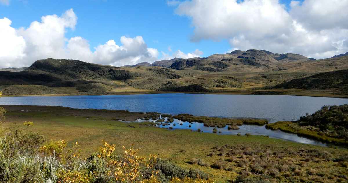 Human-Environment Interactions (Interdisciplinary) - Ecosystem ...