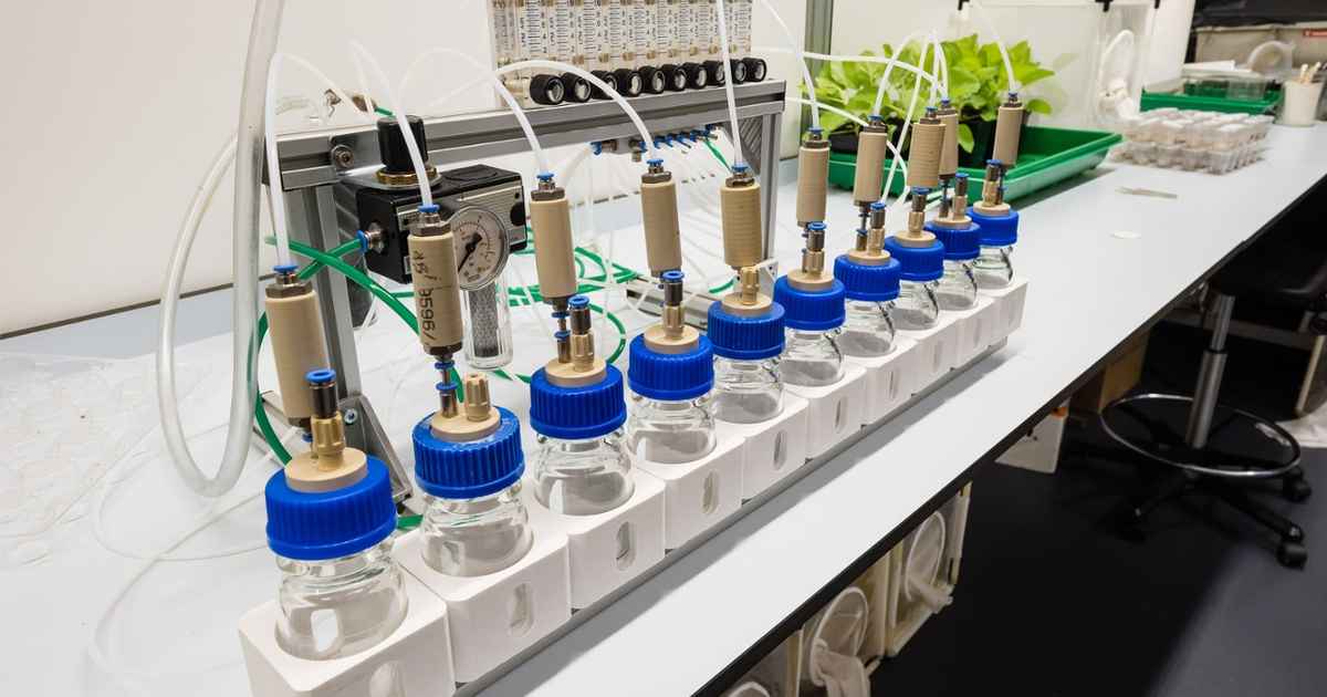 Molecular biology and ecology laboratories - Institute for Biodiversity ...