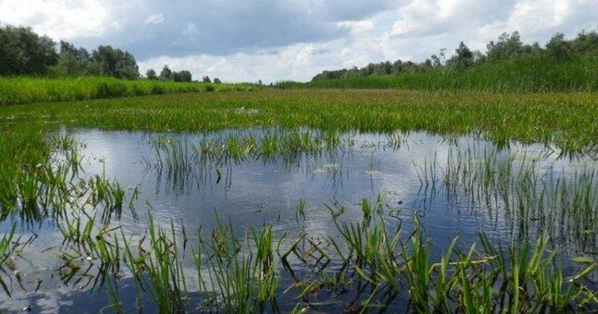 Freshwater boundary exceeds safe limits - Institute for Biodiversity ...