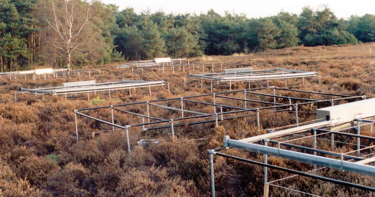 Experimental field site (INCREASE) - Institute for Biodiversity and ...