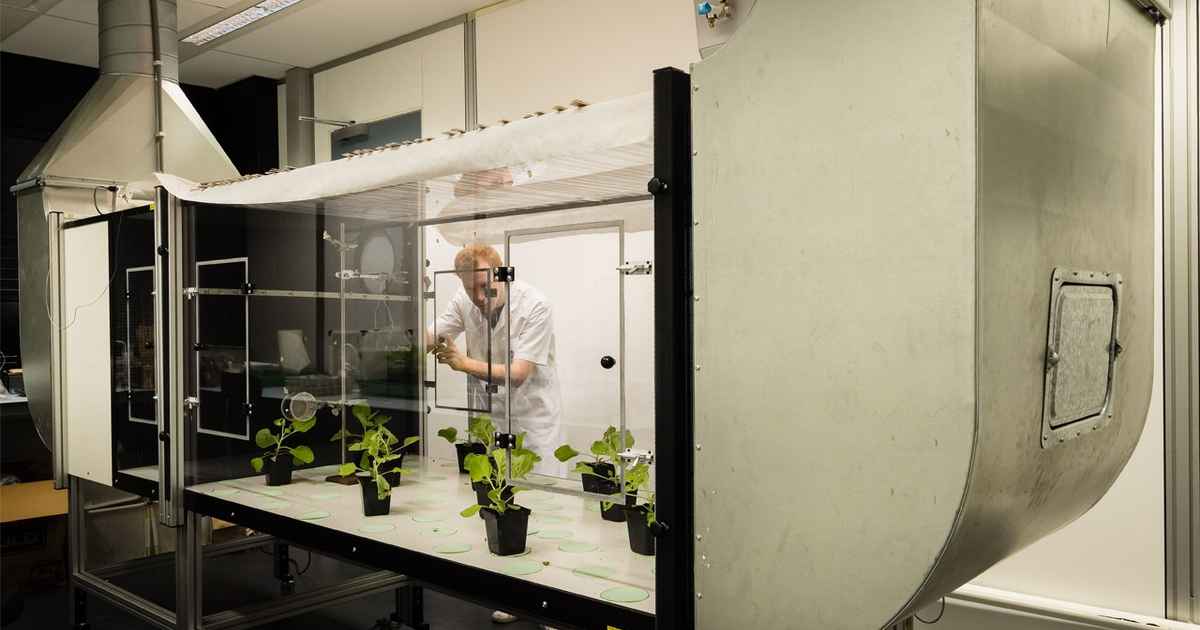 Chemical ecology laboratory - Institute for Biodiversity and Ecosystem ...