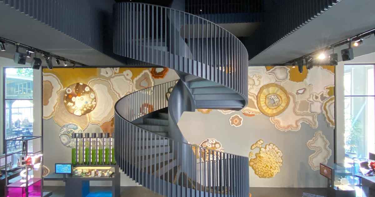 Opening ‘The Fungal Wall’ in Micropia - Institute for Biodiversity and ...