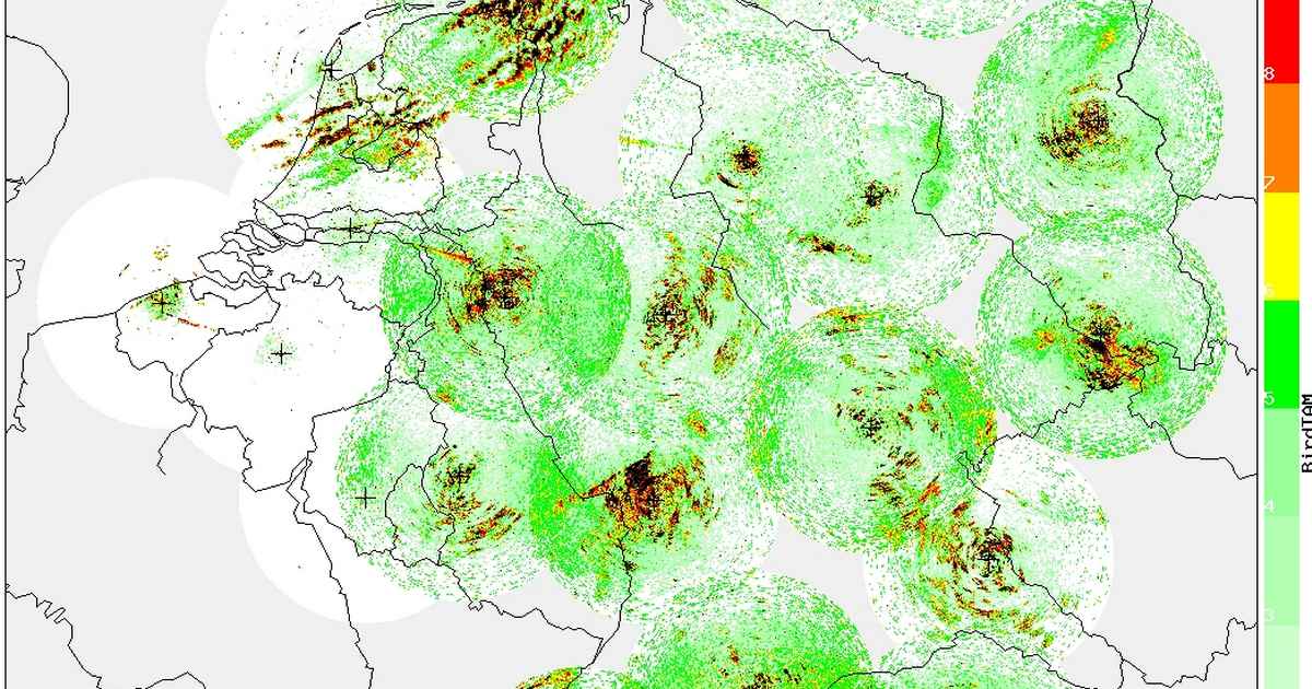FlySafe Bird Avoidance Model (FlySafe-BAM) - Institute for Biodiversity ...